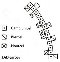 Hout algemeen: Bouwkundig detailleren - details bouwkunde.