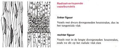Hout algemeen: Bouwkundig detailleren - details bouwkunde.
