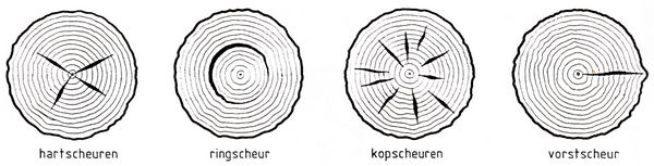 Hout algemeen: Bouwkundig detailleren - details bouwkunde.